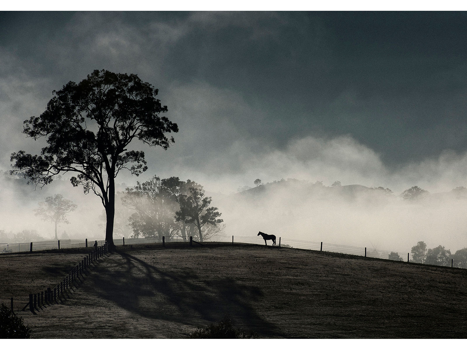 Horse in The Mist | Clare Oliver Photographer