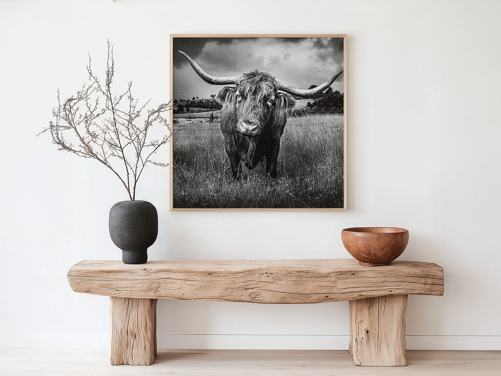 The Hairy Coo | Clare Oliver Photographer